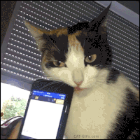 Smartphone GIFs - Get the best gif on GIFER