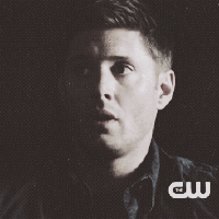 Tally GIFs - Get the best gif on GIFER