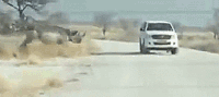 Hilux GIFs - Get the best gif on GIFER