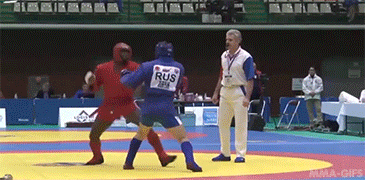 Sambo GIFs - Get the best gif on GIFER