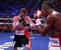 Canelo GIFs - Get the best gif on GIFER