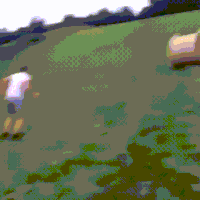 Hay GIFs - Get the best gif on GIFER