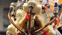 Biomimicry GIFs - Get the best gif on GIFER