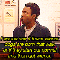 Cooperative GIFs - Get the best gif on GIFER