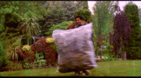 Herbs GIFs - Get the best gif on GIFER