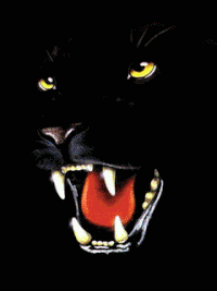 Pantera GIFs - Get the best gif on GIFER