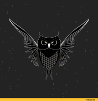 Owl GIFs - Get the best gif on GIFER