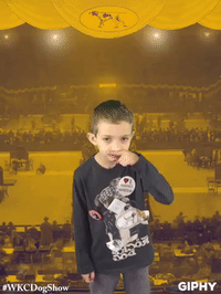 Exposition GIFs - Get the best gif on GIFER