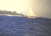 Sailboat GIFs - Get the best gif on GIFER