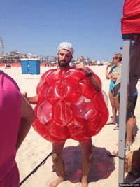 Raspberry GIFs - Get the best gif on GIFER