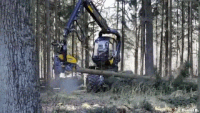 Lumber GIFs - Get the best gif on GIFER