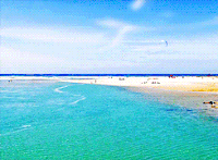 Playa GIF - Conseguir el mejor gif en GIFER