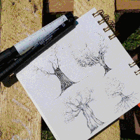 Dibujo GIFs - Get the best gif on GIFER