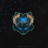 Ravenclaw GIFs - Get the best gif on GIFER