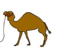 Camels GIFs - Get the best gif on GIFER