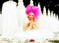Organized GIFs - Get the best gif on GIFER