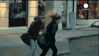 Windy GIFs - Get the best gif on GIFER