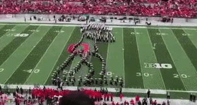 Buckeyes GIFs - Get the best gif on GIFER