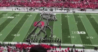 Buckeyes GIFs - Get the best gif on GIFER
