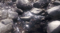 Hike GIFs - Get the best gif on GIFER