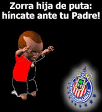 Chiva GIFs - Get the best gif on GIFER