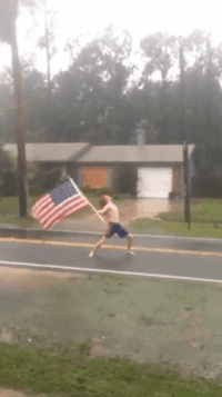 Florida GIFs - Get the best gif on GIFER