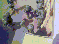 Flashbang GIFs - Get the best gif on GIFER