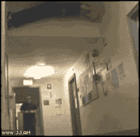 Planking GIFs - Get the best gif on GIFER