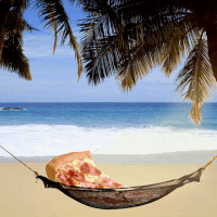 Vacation GIFs - Get the best gif on GIFER