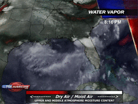 Tracking GIFs - Get the best gif on GIFER