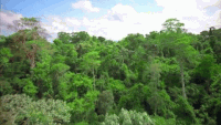 Parks GIFs - Get the best gif on GIFER
