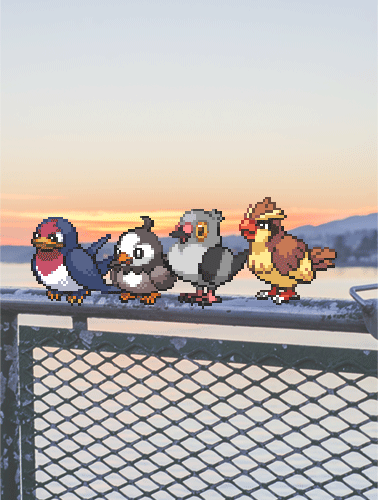Pokemon plaza GIF - Conseguir o melhor gif em GIFER