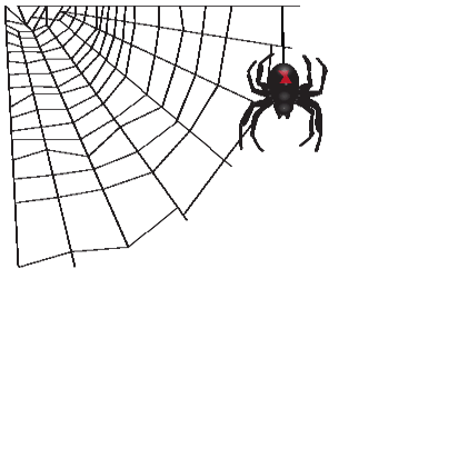 Spider web GIFs - Obtenez le meilleur gif sur GIFER