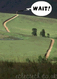 Suricate GIFs - Get the best gif on GIFER