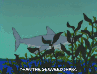Seaweed GIFs - Get the best gif on GIFER
