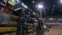 Bullriding GIFs - Get the best gif on GIFER