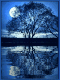 Reflection GIFs - Get the best gif on GIFER