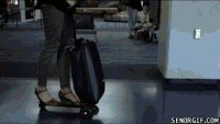 Luggage GIFs - Get the best gif on GIFER