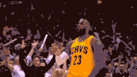 Lebron GIFs - Get the best gif on GIFER