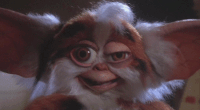 Gremlins GIFs - Get the best gif on GIFER