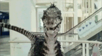 Mods GIFs - Get the best gif on GIFER
