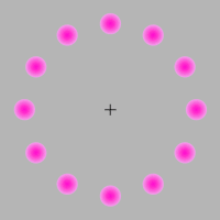 Spot GIFs - Get the best gif on GIFER