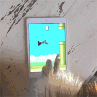 Flappy GIFs - Get the best gif on GIFER