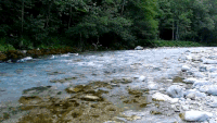 River GIFs - Get the best gif on GIFER