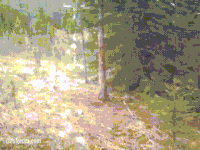 Siberia GIFs - Get the best gif on GIFER