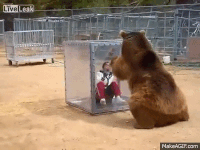 Attack GIFs - Get the best gif on GIFER