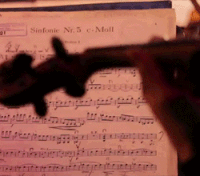 Violin GIFs - Get the best gif on GIFER