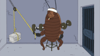 Cockroach GIFs - Get the best gif on GIFER