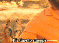 Armory GIFs - Get the best gif on GIFER