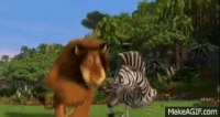 Madagascar GIFs - Get the best gif on GIFER